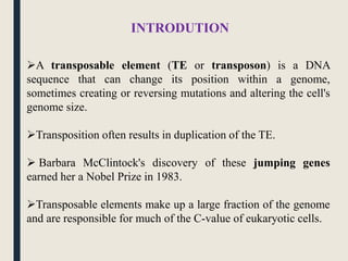 Transposable elements | PPTX