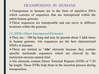 Transposable elements | PPTX