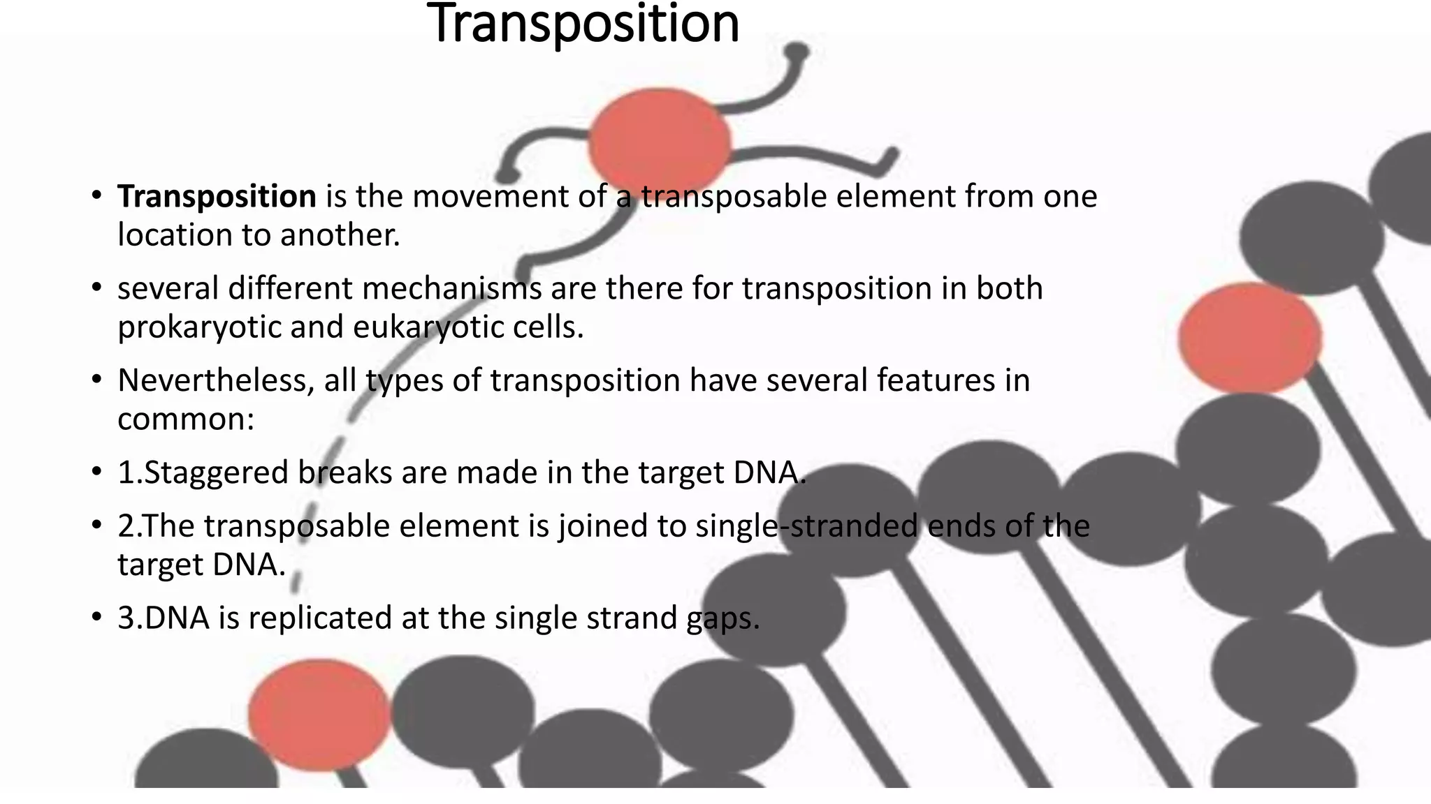 Transposable elements in Maize And Drosophila | PPTX