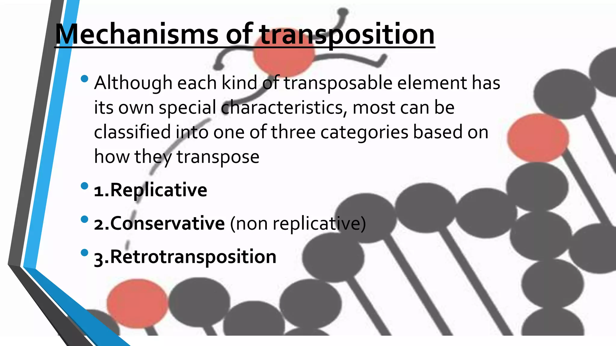 Transposable elements in Maize And Drosophila | PPTX