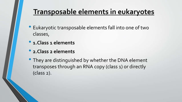 Transposable elements in Maize And Drosophila | PPTX | Genetics | Science