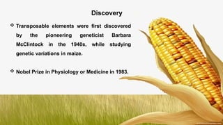 Transposable Elements or Jumping Genes.pptx