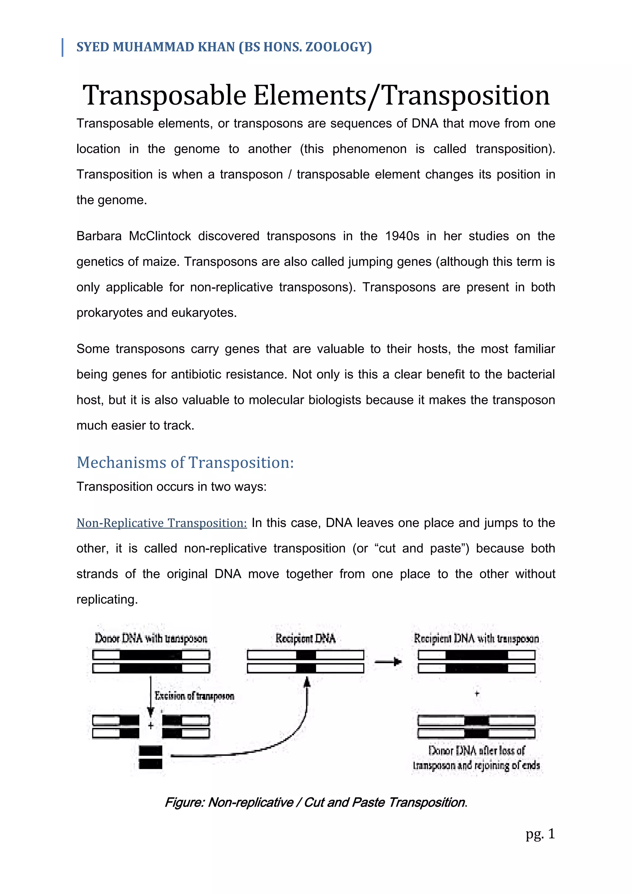 Transposable Elements or Transposition | PDF
