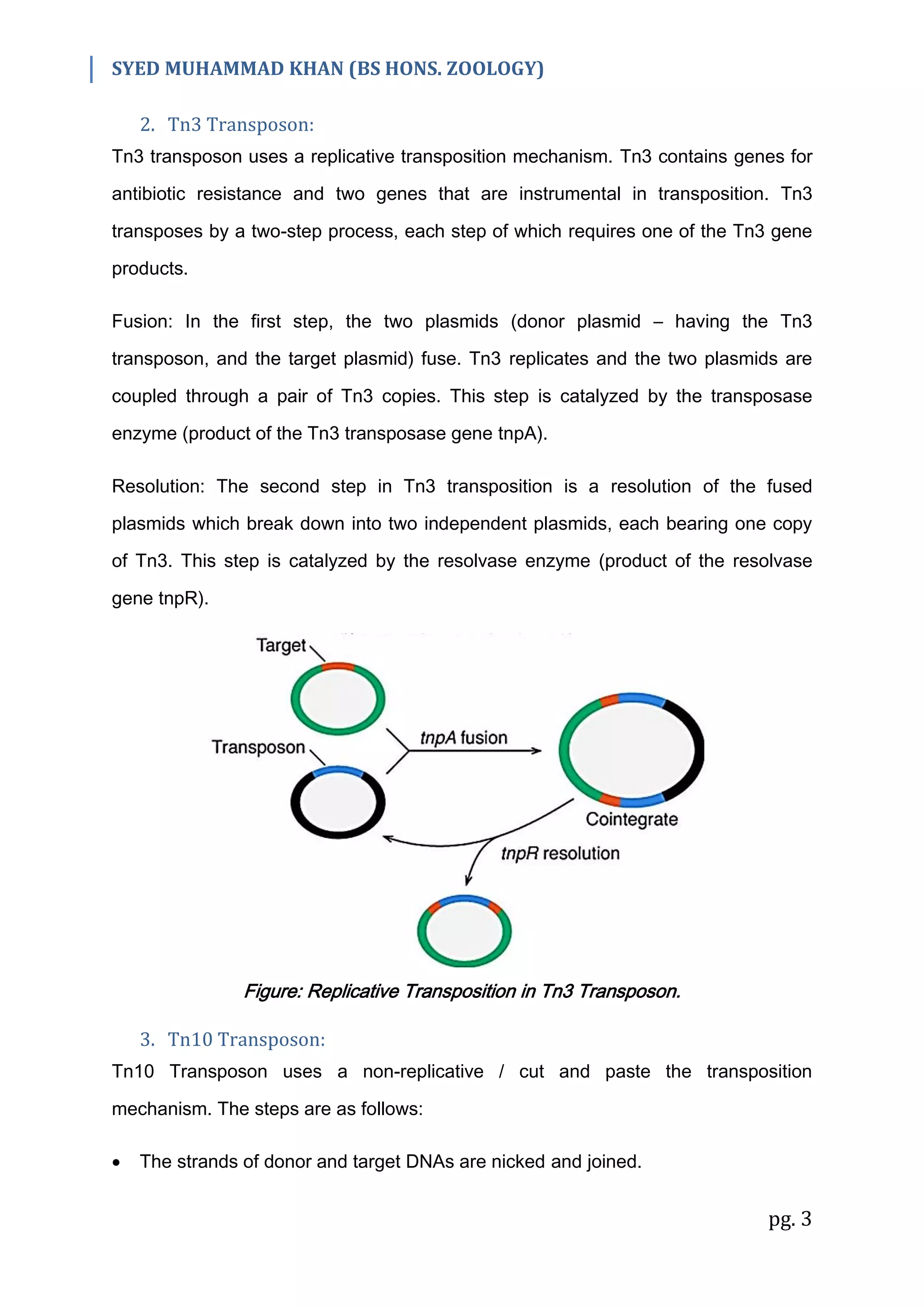 Transposable Elements Or Transposition Pdf