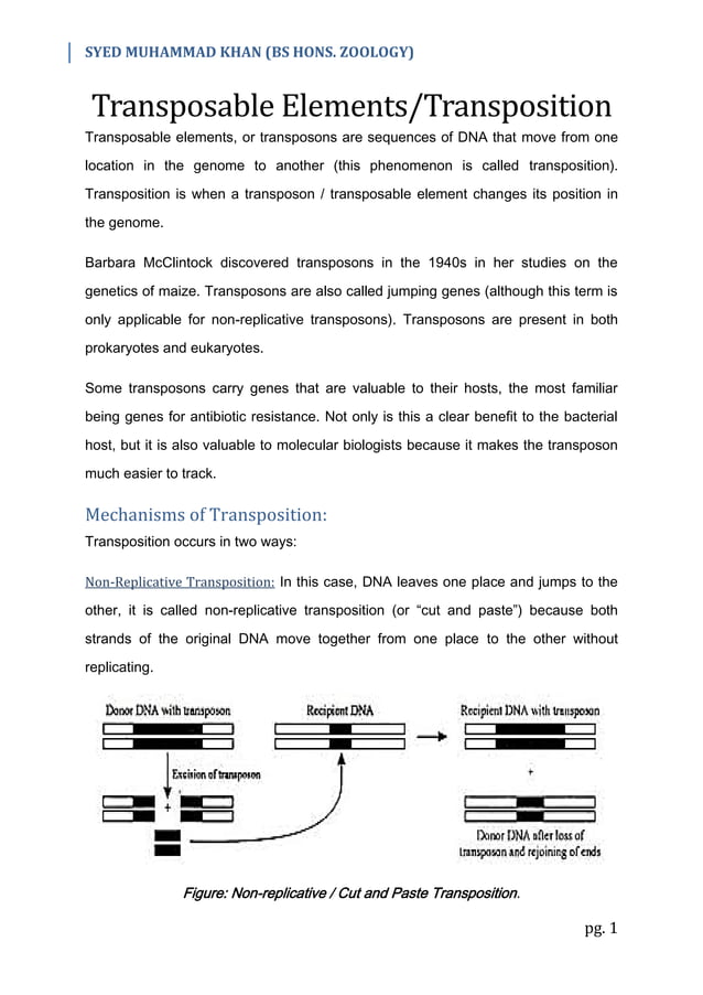 Transposable Elements Or Transposition Pdf