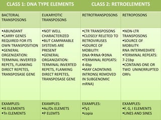 Transposable elements suk | PPTX