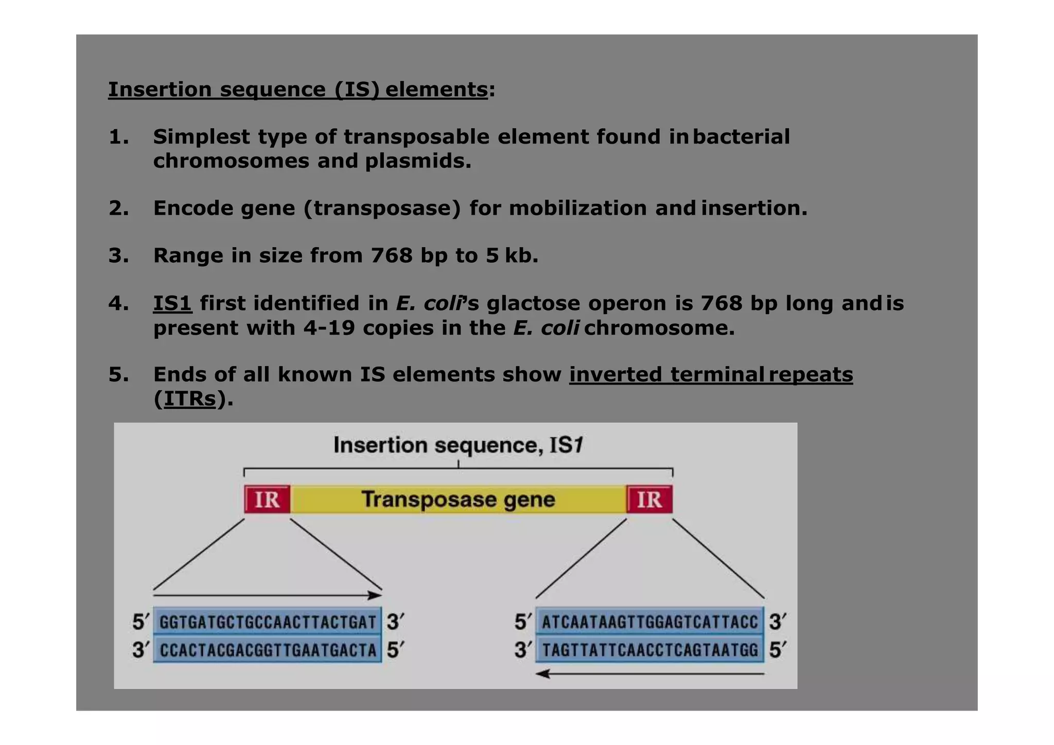 Transposibleelements.pptx