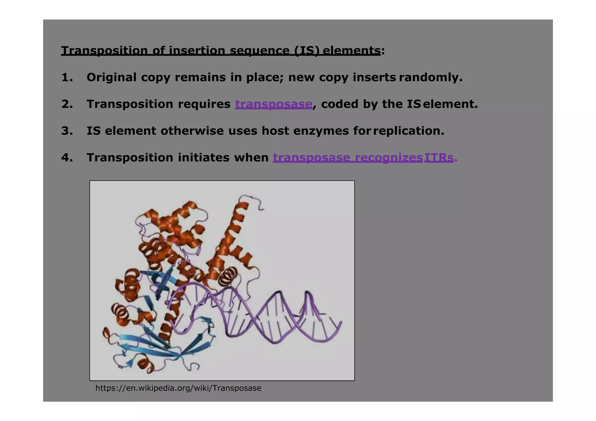 Transposibleelements.pptx