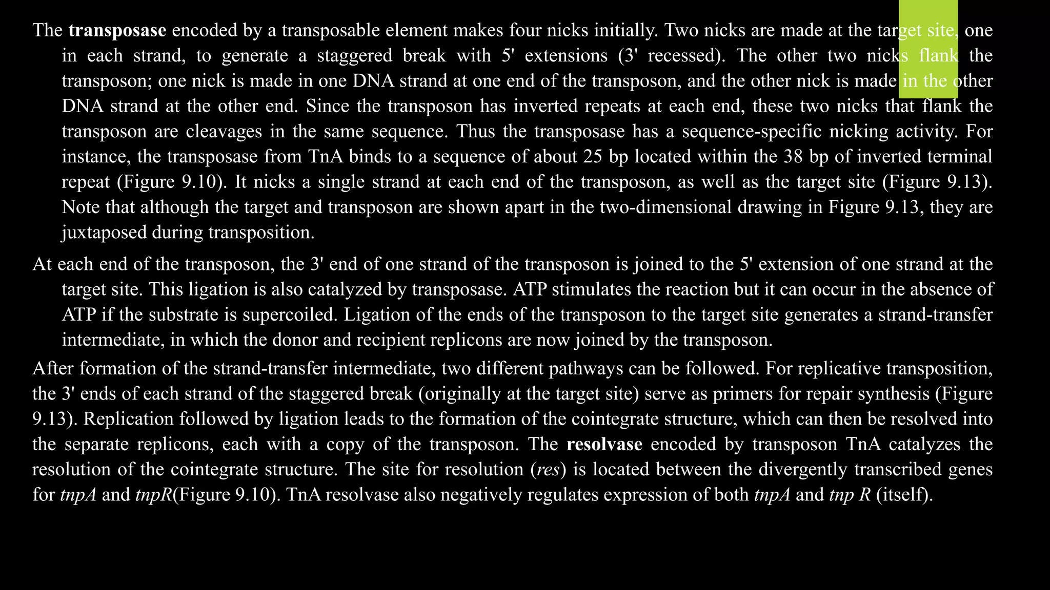 Transposition | PPTX