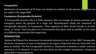 Transposition | PPT
