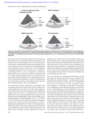 Transposition of the great arteries | PDF