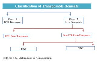 Transposon | PPTX