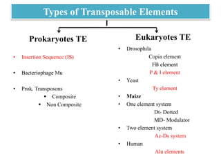 Transposon | PPTX
