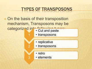 Transposones | PPTX