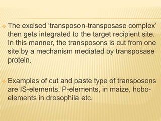 Transposones | PPTX