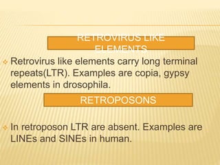 Transposones | PPTX