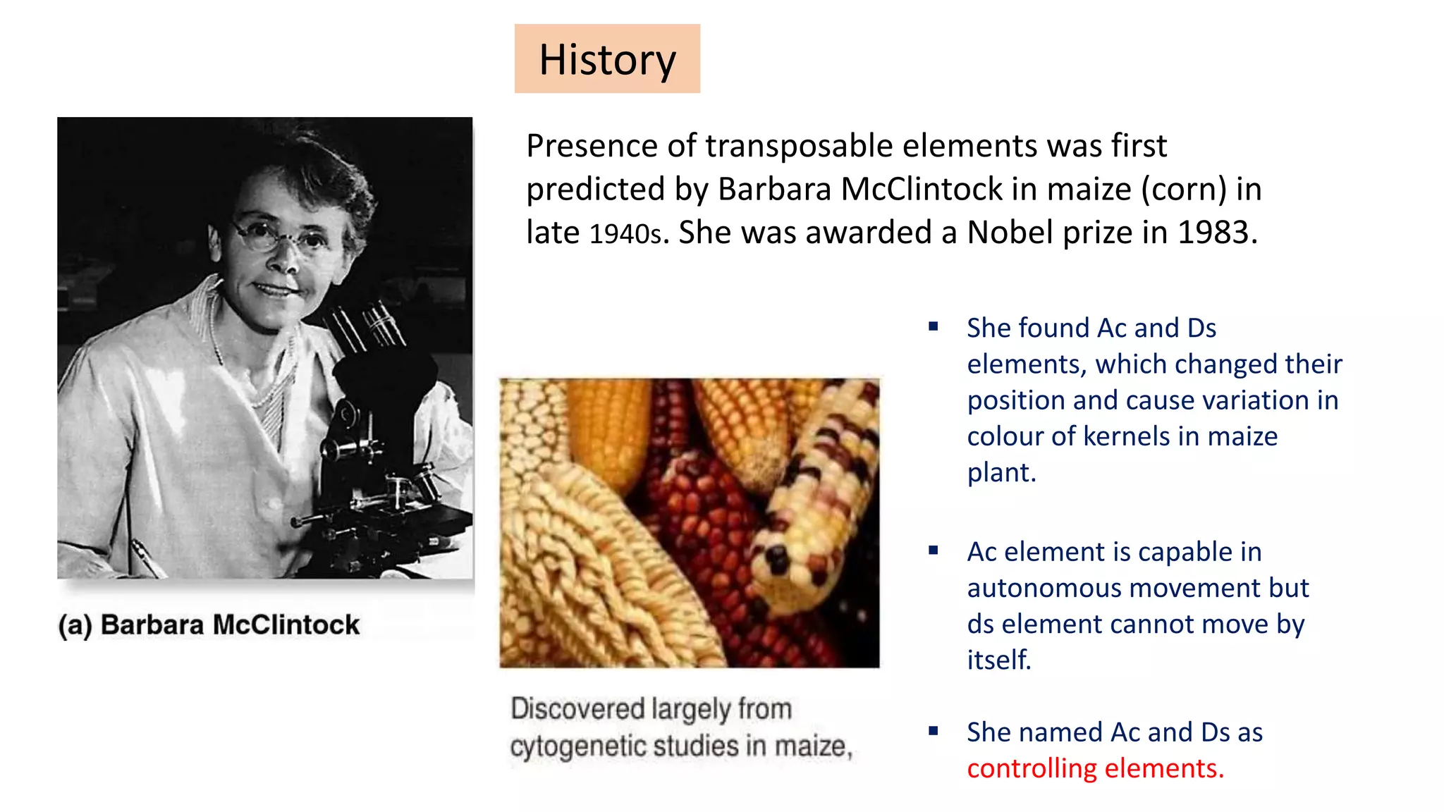 Transposon mutagenesis 629 | PPTX