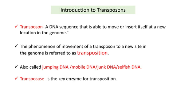 Transposon mutagenesis 629 | PPTX