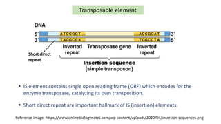 Transposon mutagenesis 629 | PPTX