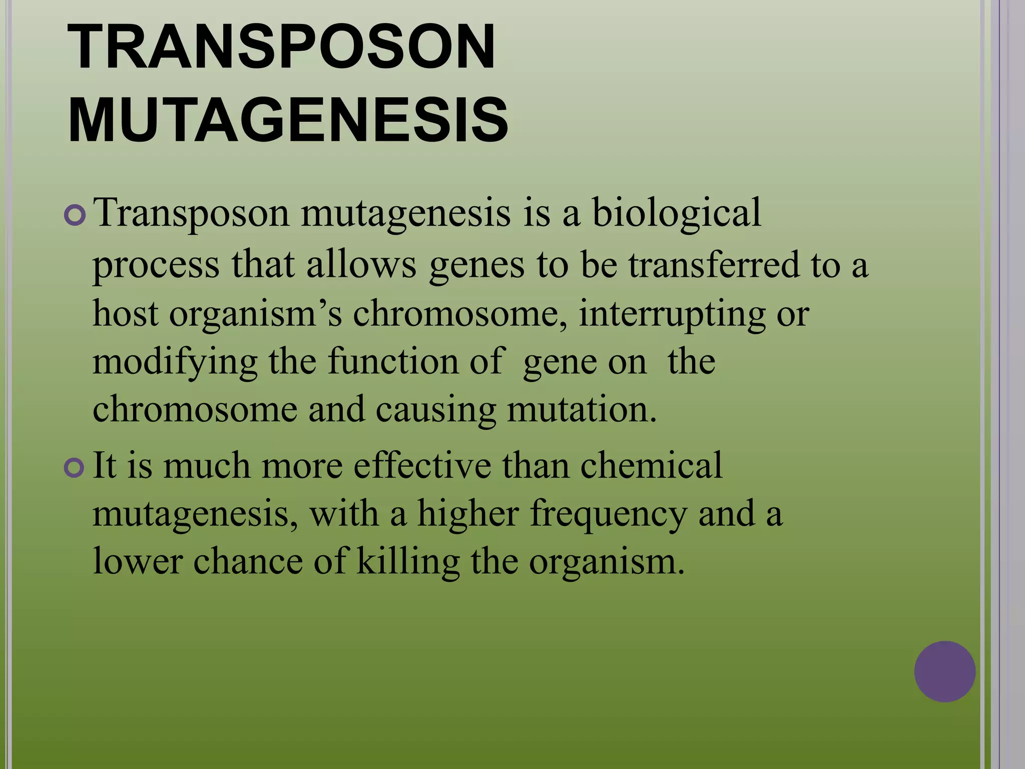 Transposon mutagenesis & site directed mutagenesis | PPTX
