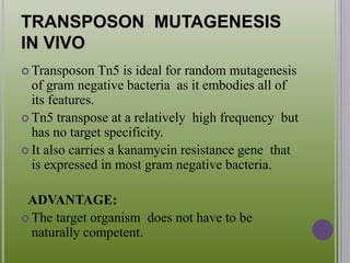 Transposon mutagenesis & site directed mutagenesis | PPTX