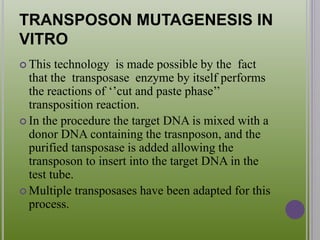 Transposon mutagenesis & site directed mutagenesis | PPTX