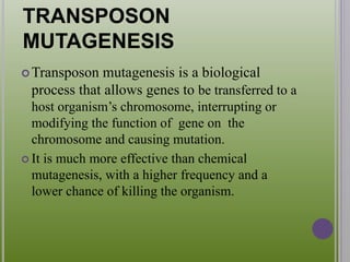 Transposon mutagenesis & site directed mutagenesis | PPTX