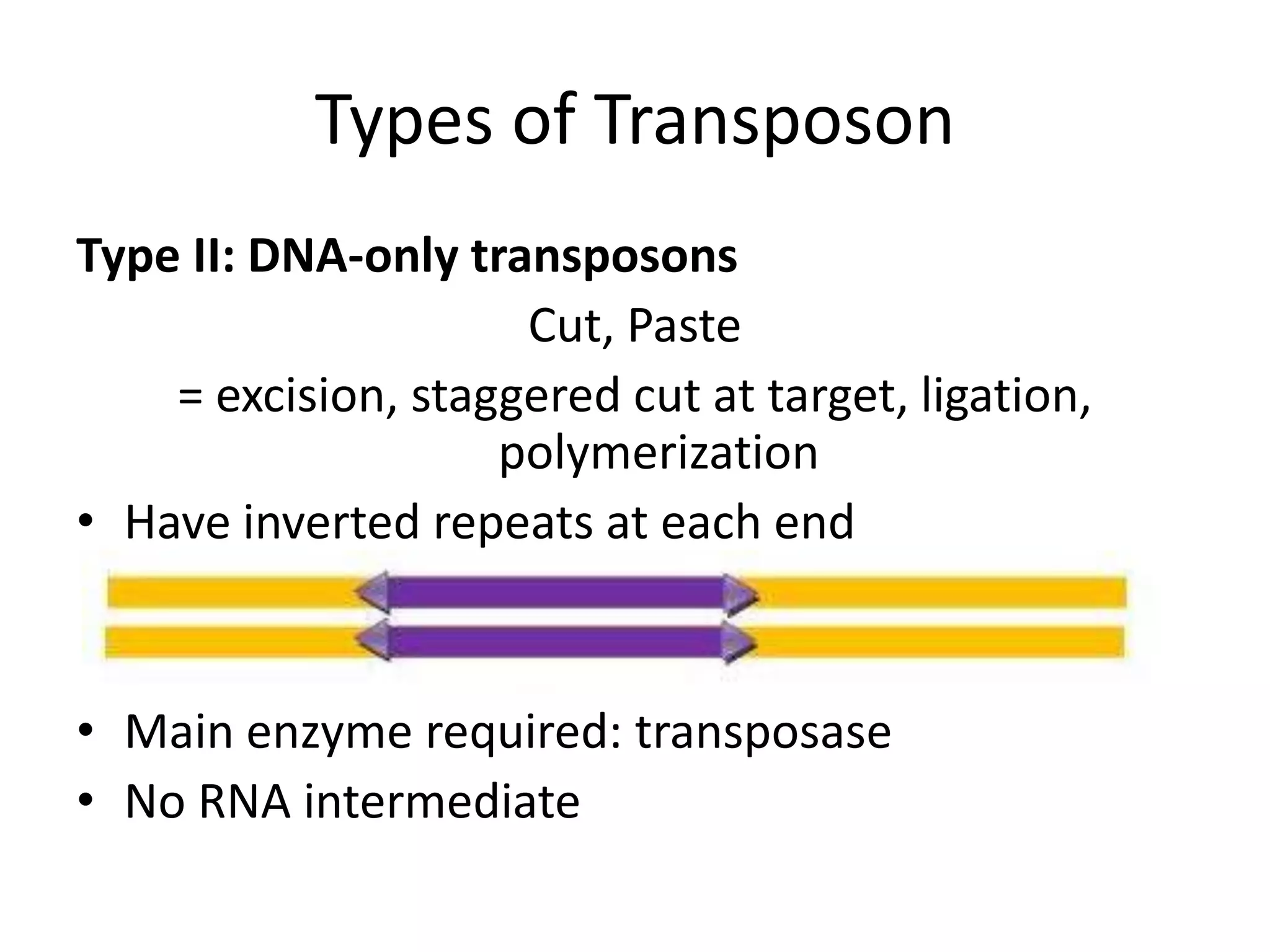 Transposons: the jumping genes | PPTX