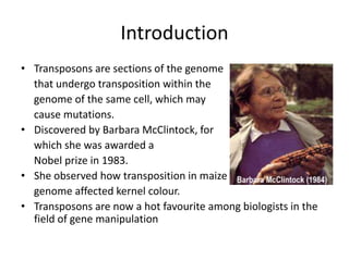 Transposons: the jumping genes | PPTX