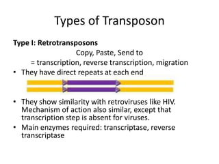 Transposons: the jumping genes | PPTX