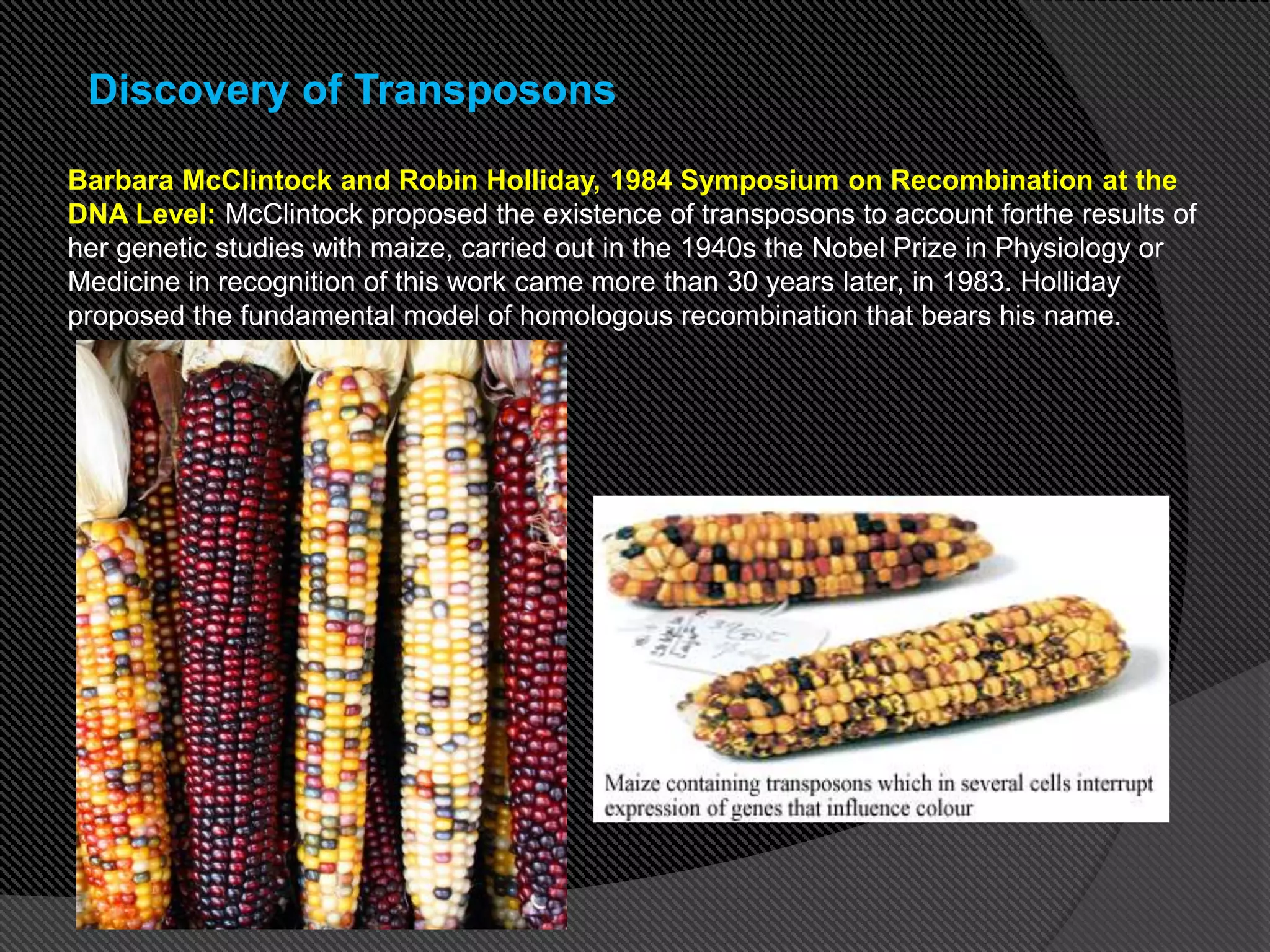 Transposons | PPTX