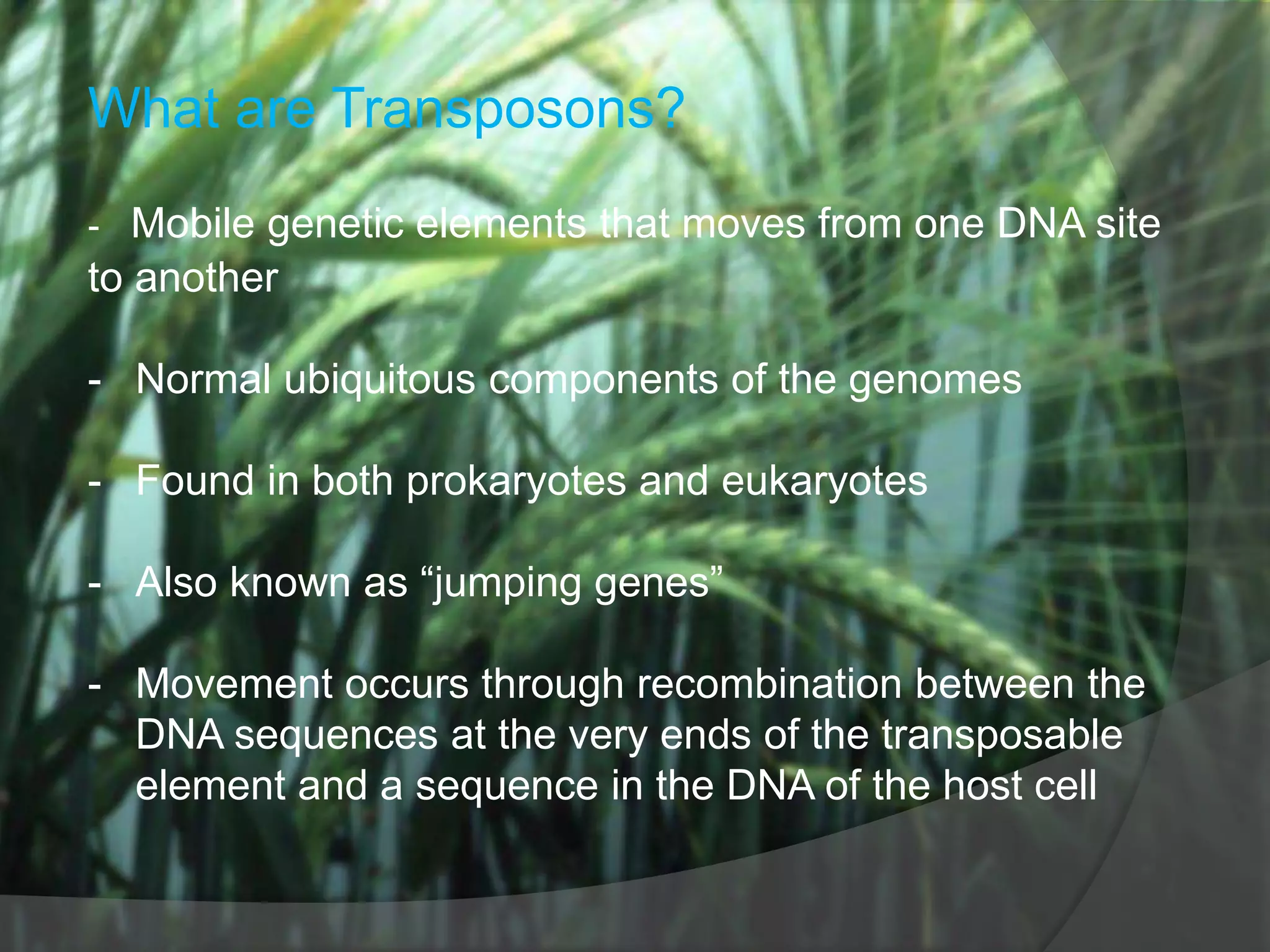 Transposons | PPTX