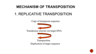Transposons | PPT