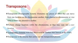Transposons | PPTX