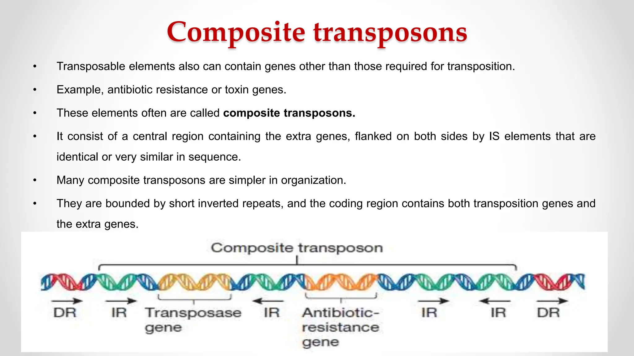 Transposons, types and transposition.pptx