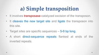 Transposons, types and transposition.pptx