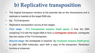 Transposons, types and transposition.pptx