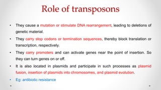 Transposons, types and transposition.pptx