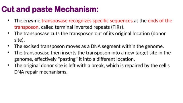 Transposons: The Jumping Genes-Molecular Biology.pptx