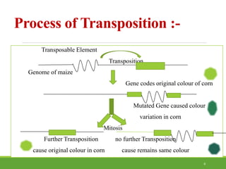 Transposons | PPTX
