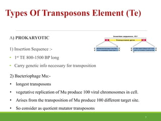 Transposons | PPTX