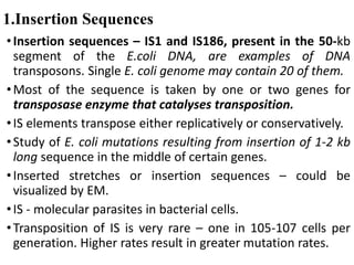 Transposons2.pptx