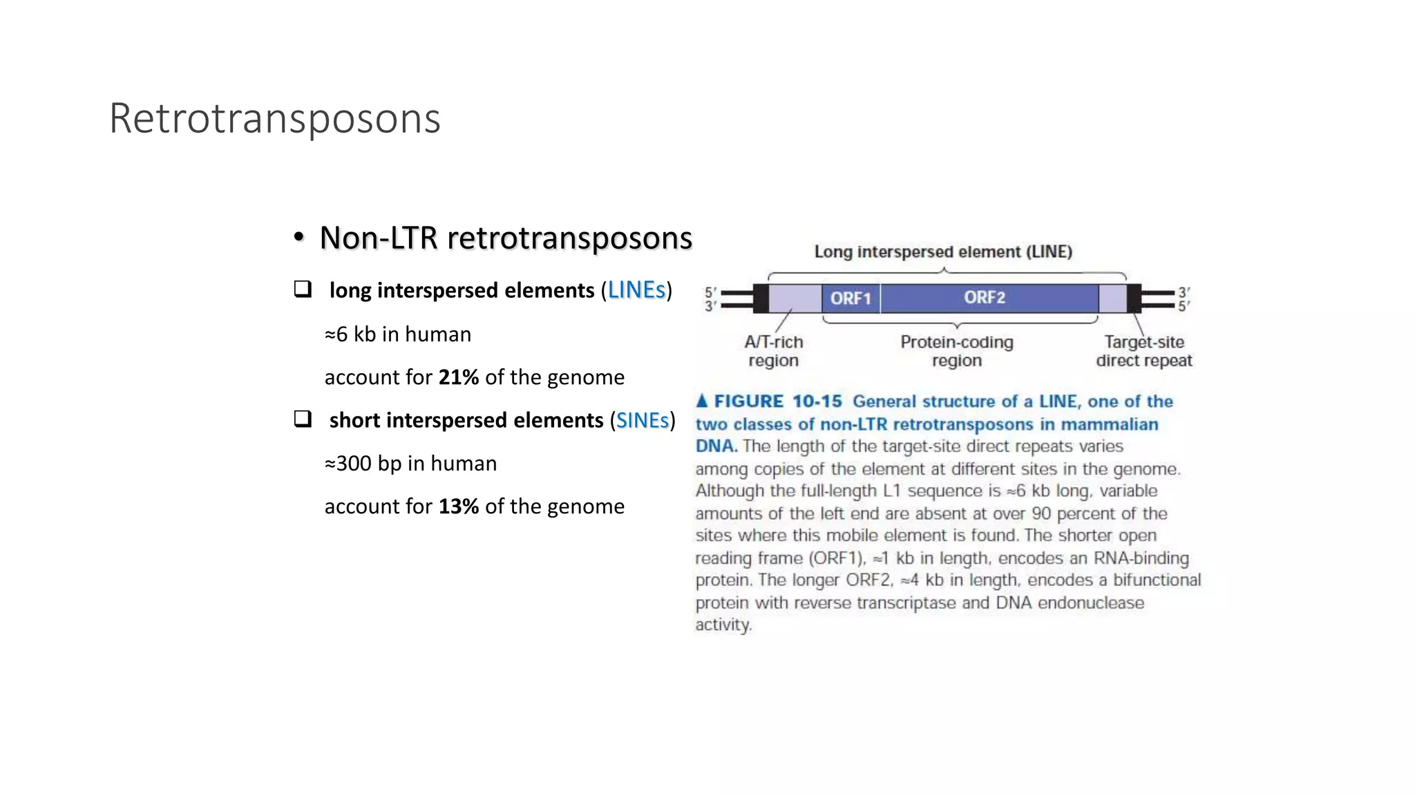 Transposons and mechanisms of transposition | PPTX