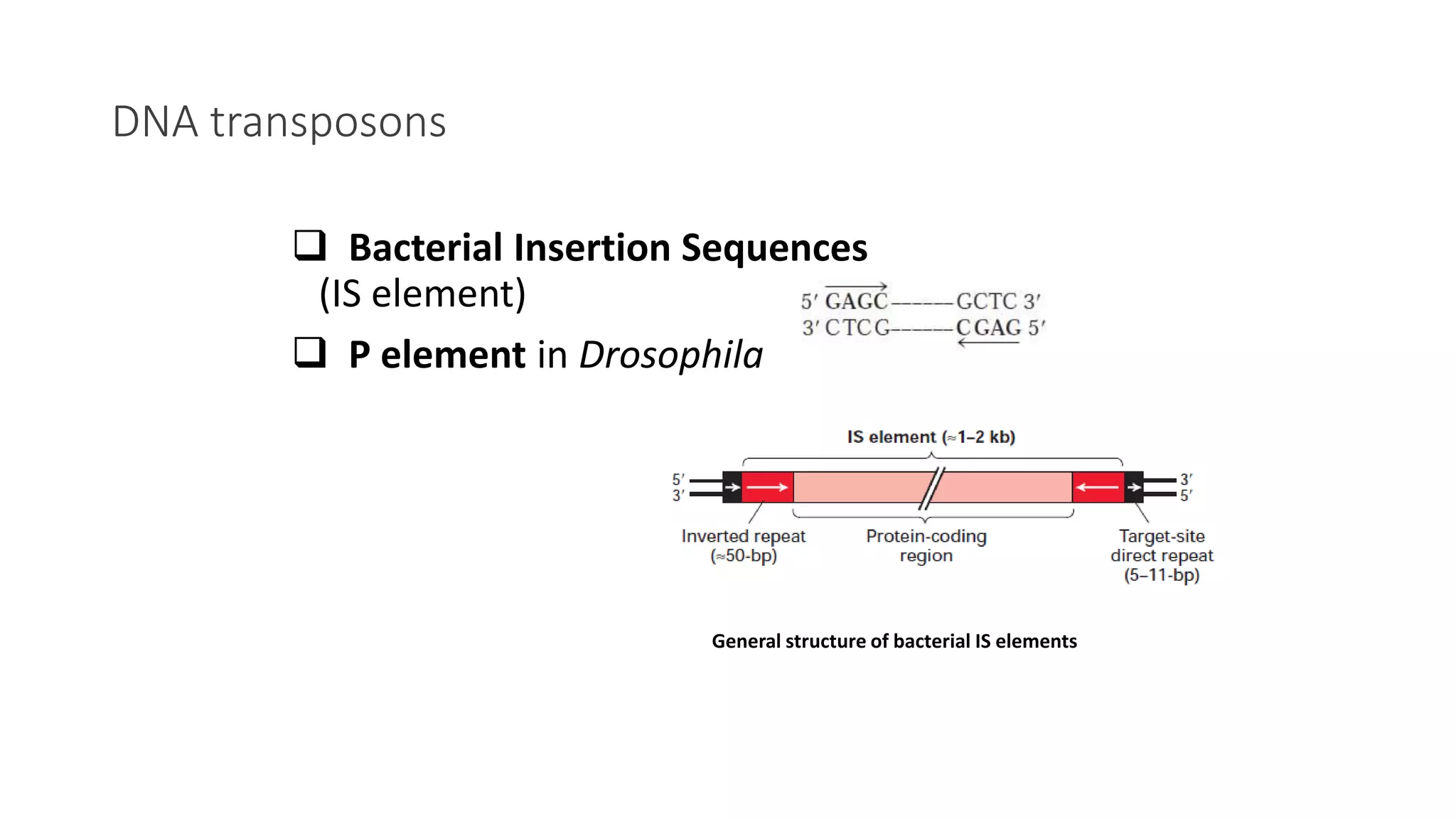 Transposons and mechanisms of transposition | PPTX