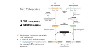 Transposons and mechanisms of transposition | PPTX