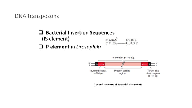 Transposons and mechanisms of transposition | PPTX