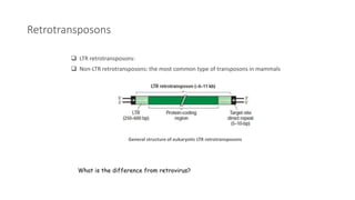 Transposons and mechanisms of transposition | PPTX