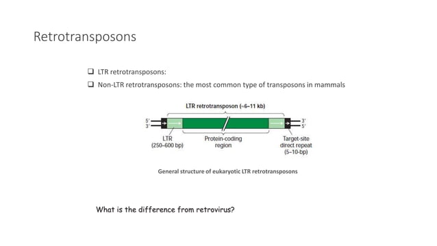 Transposons and mechanisms of transposition | PPTX