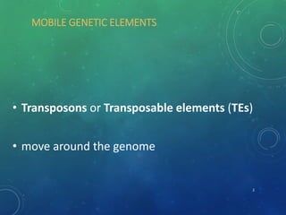 TRANSPOSONS ;THE JUMPING GENES | PPTX | Genetics | Science