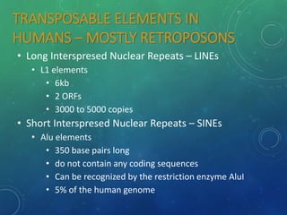 TRANSPOSONS ;THE JUMPING GENES | PPTX